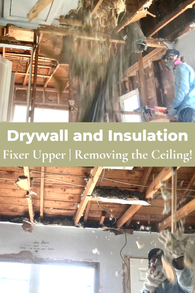 Ripping Out Drywall and Insulation in Tiny Fixer Upper - Journey Down ...
