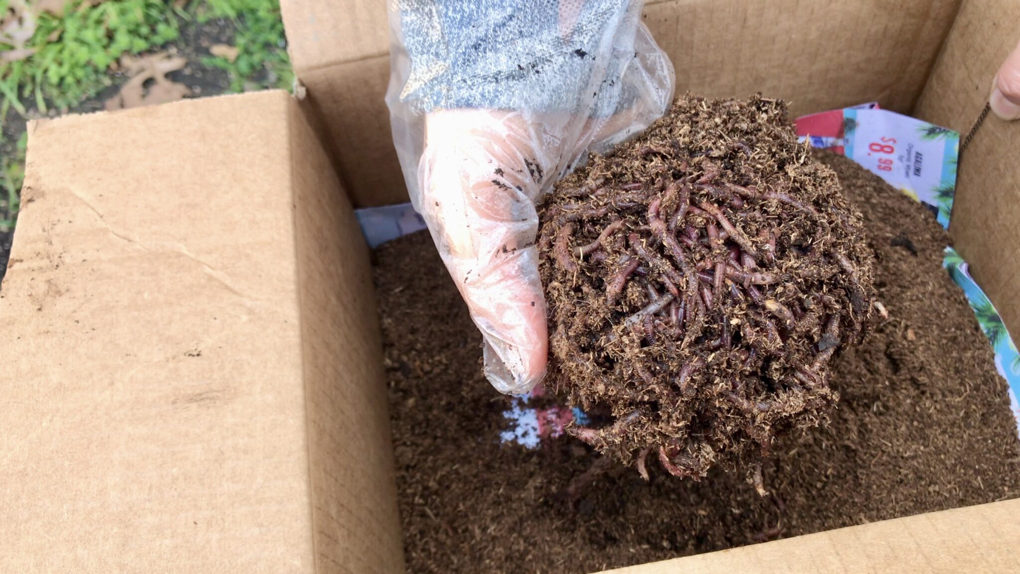 Building and Maintaining a Simple Worm Bin - Journey Down The Road
